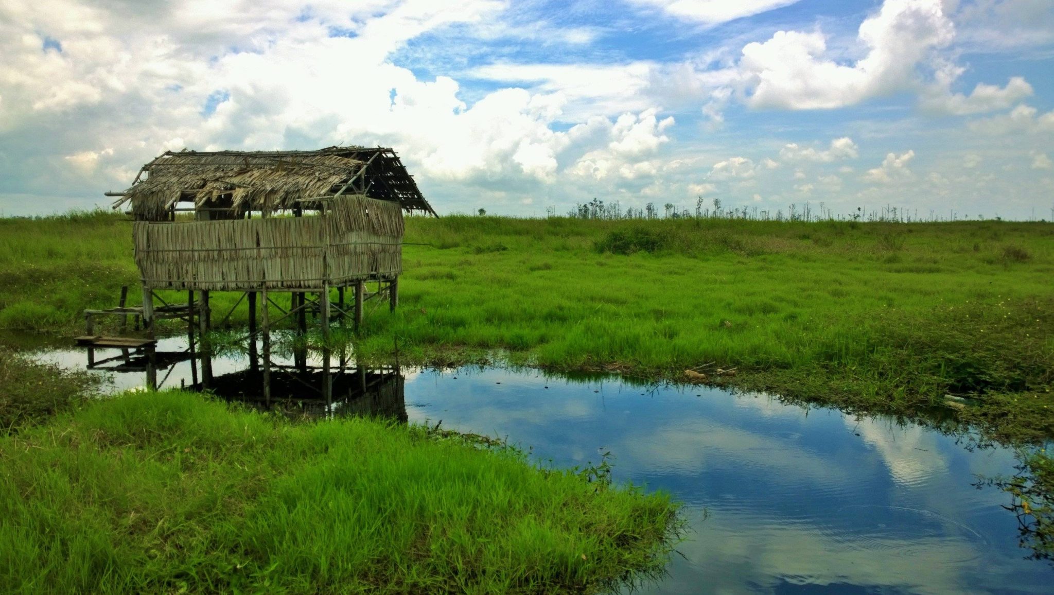 Supporting the Rimba Raya Project | Moventi