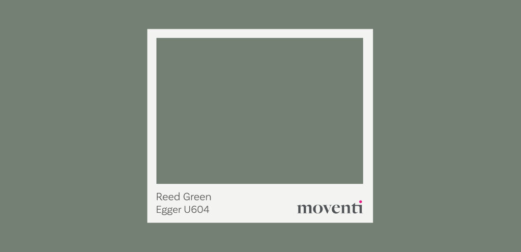 Finish Focus: Reed Green | Moventi