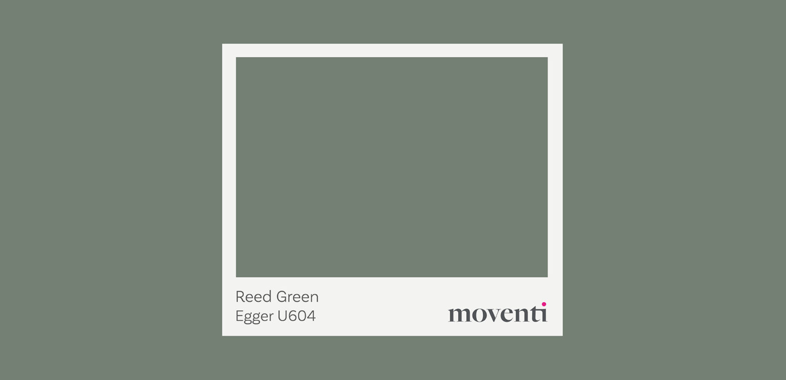 Finish Focus: Reed Green | Moventi