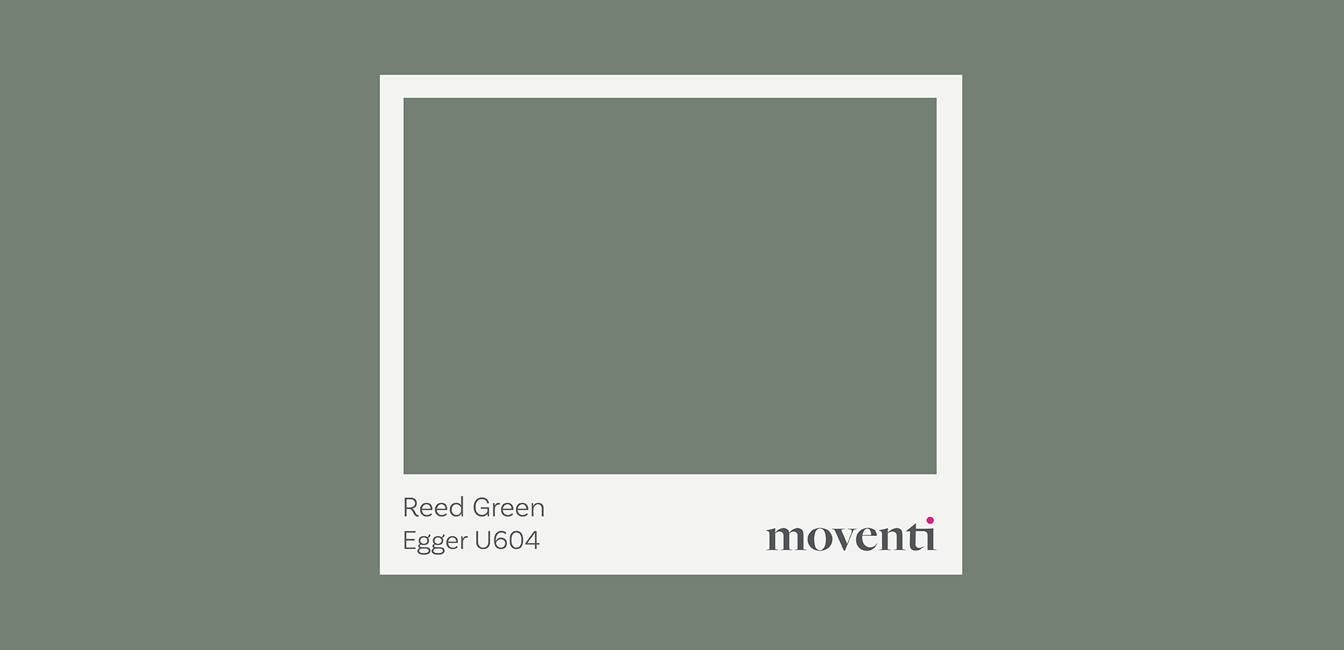 Finish Focus: Reed Green | Moventi
