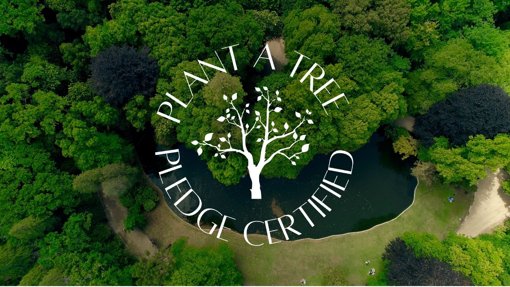 Our Plant a Tree Pledge | Moventi